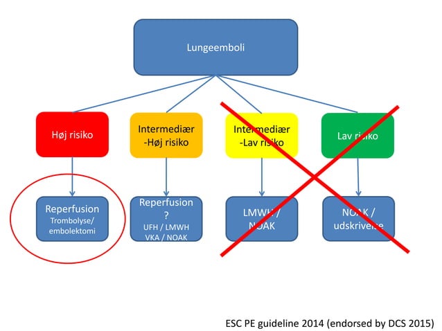 Kunne det være en lungeemboli? | PDF