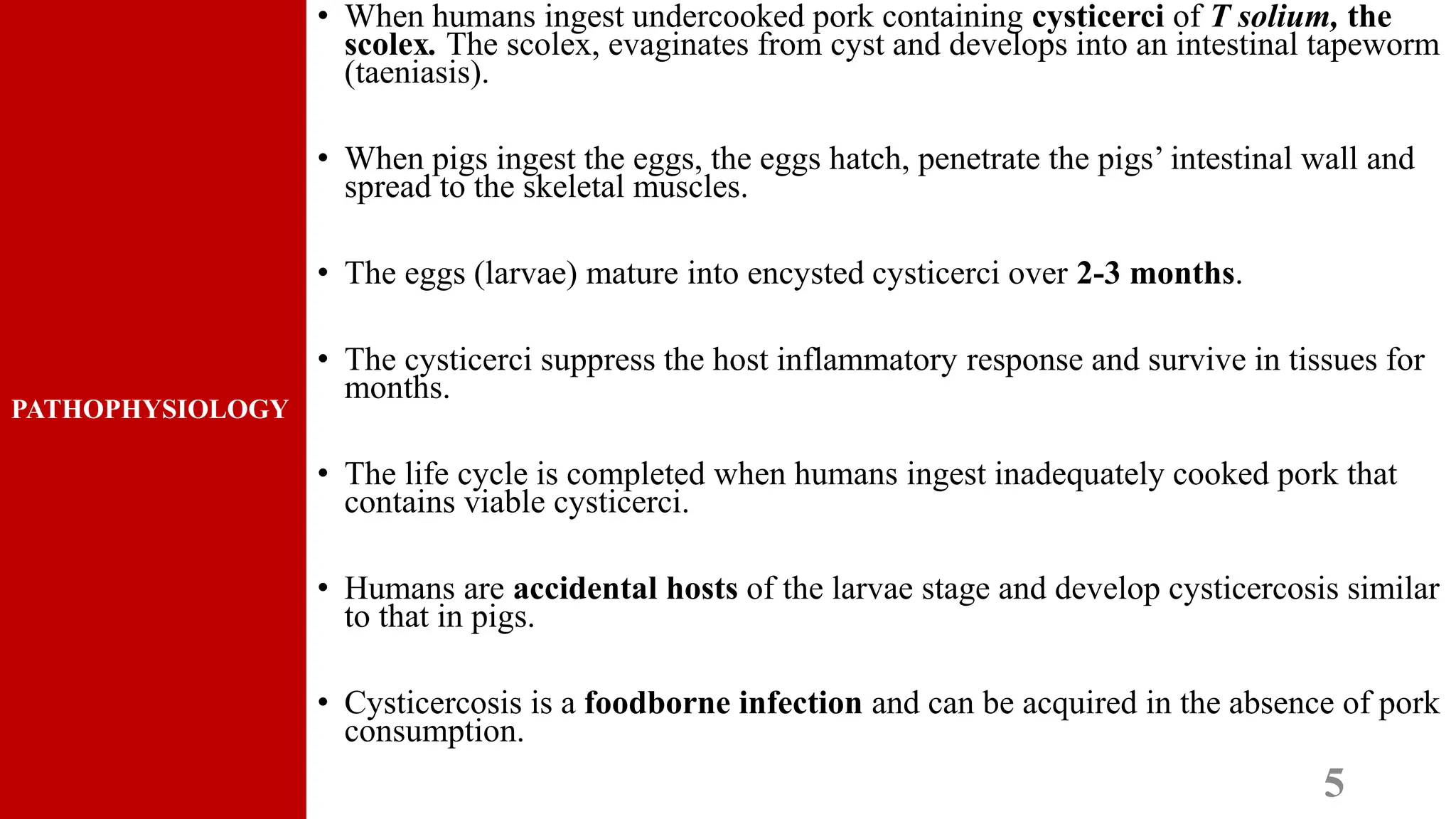 A brief discussion on Cysticercosis and how the affect the human body ...