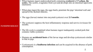 A brief discussion on Cysticercosis and how the affect the human body ...