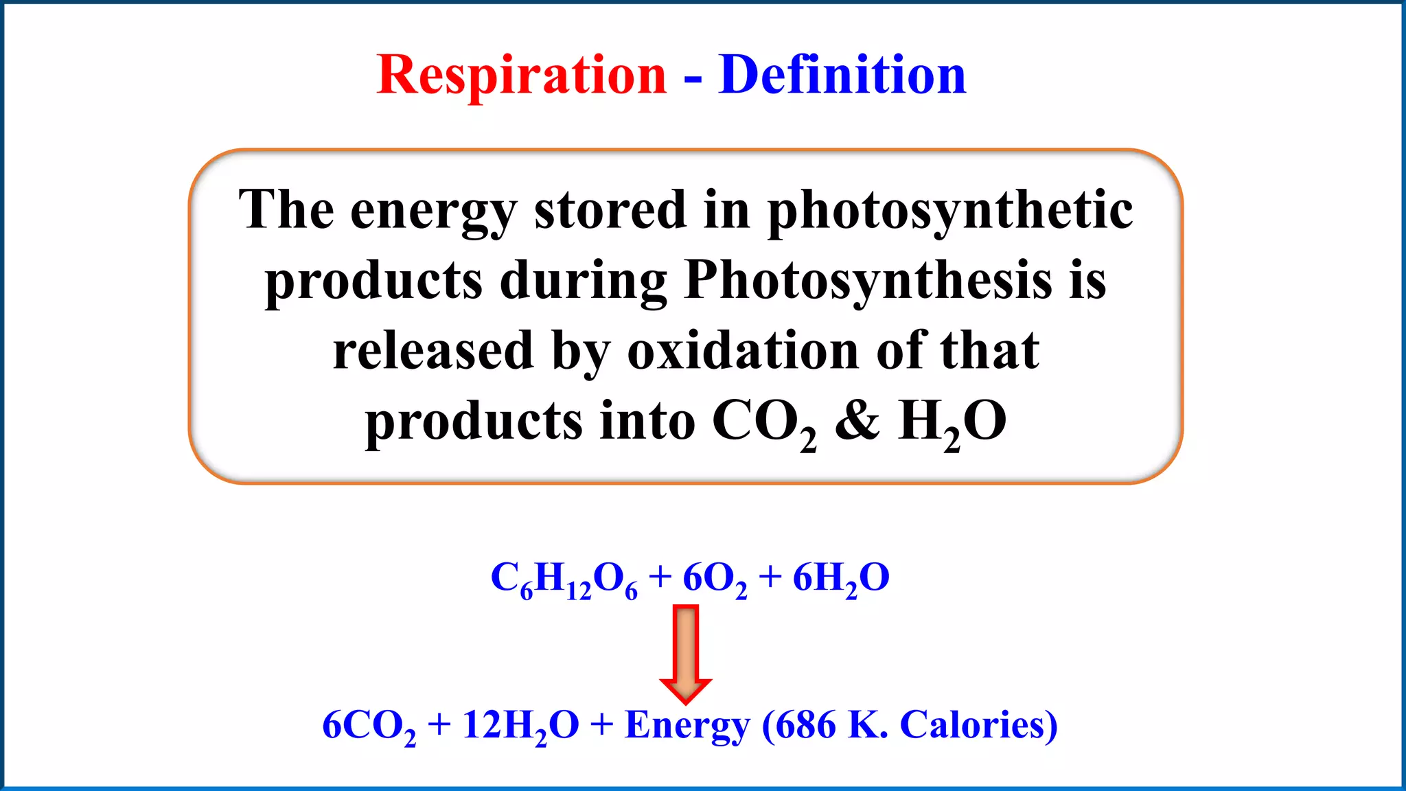 RESPIRATION | PPTX
