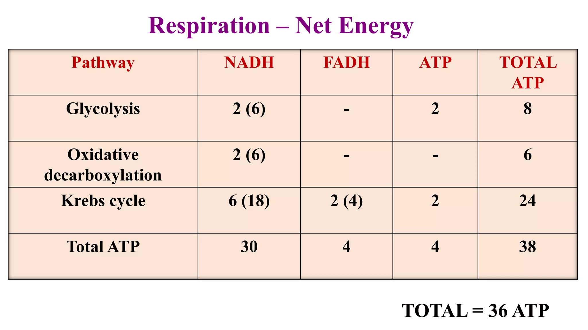 RESPIRATION | PPTX