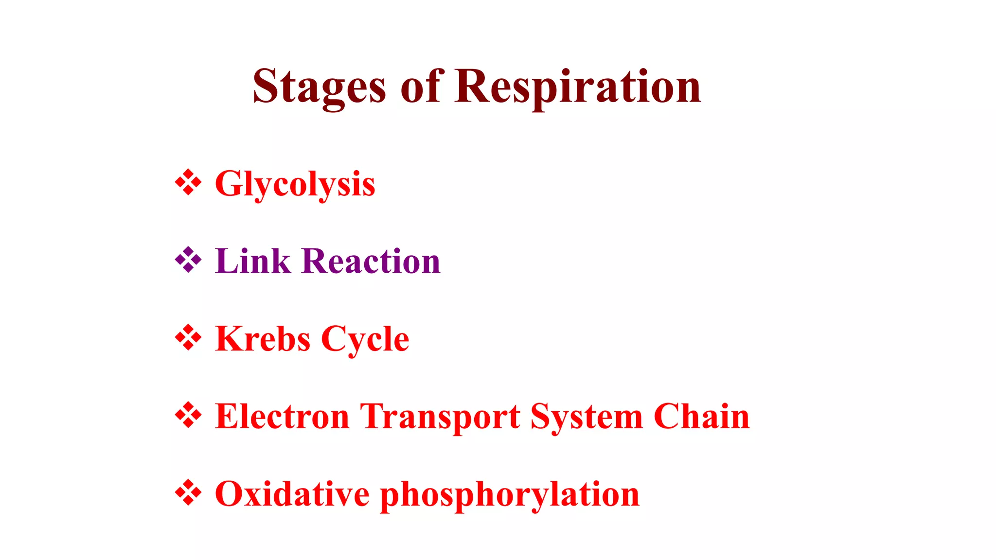 RESPIRATION | PPTX