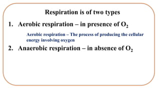 RESPIRATION | PPTX