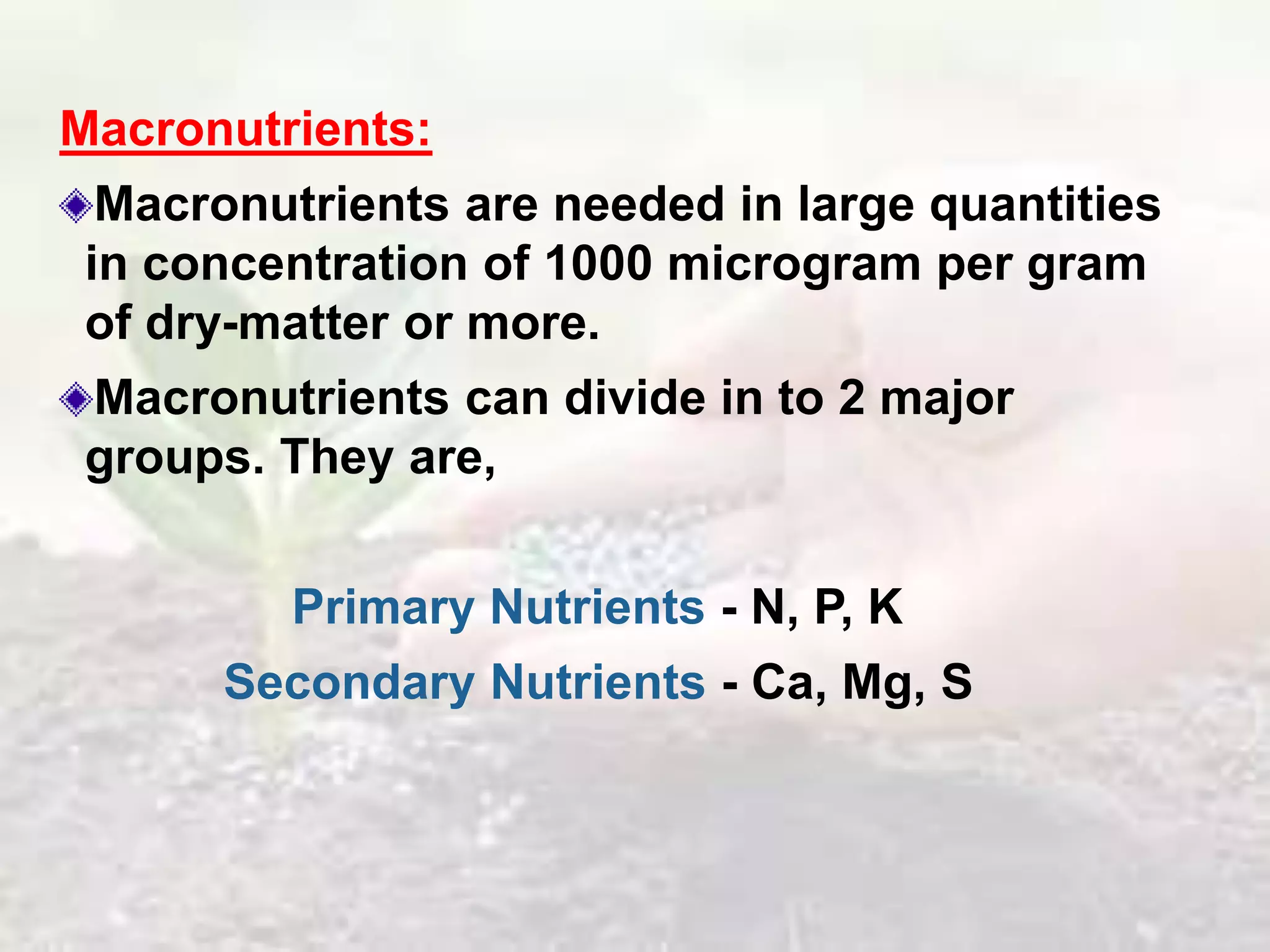 NUTRIOPHYSIOLOGY | PPTX | Nutrition | Healthy Living