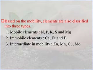 NUTRIOPHYSIOLOGY | PPTX