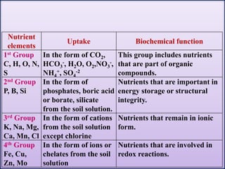 NUTRIOPHYSIOLOGY | PPTX