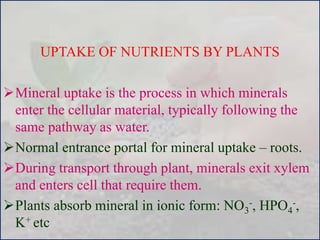 NUTRIOPHYSIOLOGY | PPTX