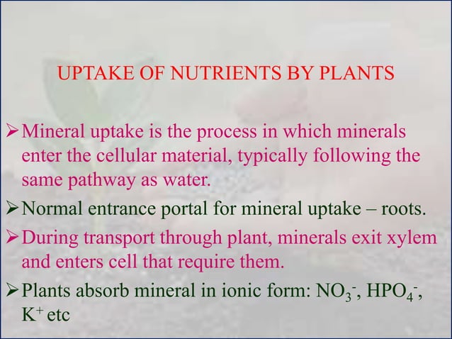 NUTRIOPHYSIOLOGY | PPTX | Nutrition | Healthy Living