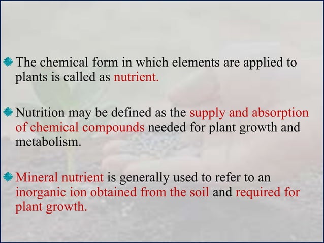 NUTRIOPHYSIOLOGY | PPTX | Nutrition | Healthy Living