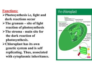 Cphy 161 lec-2 (plant cell) | PPTX