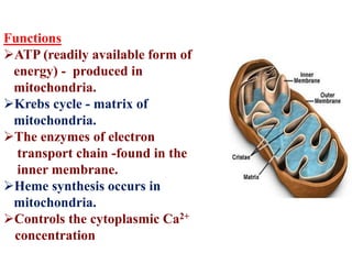 Cphy 161 lec-2 (plant cell) | PPTX