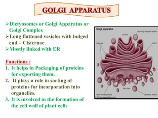 Cphy 161 lec-2 (plant cell) | PPTX