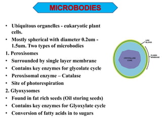 Cphy 161 lec-2 (plant cell) | PPTX