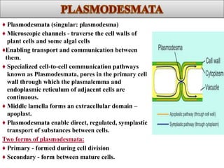 Cphy 161 lec-2 (plant cell) | PPTX