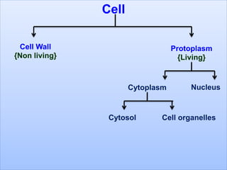 Cphy 161 lec-2 (plant cell) | PPTX | Genetics | Science