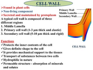 Cphy 161 lec-2 (plant cell) | PPTX