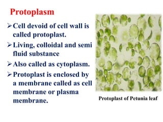 Cphy 161 lec-2 (plant cell) | PPTX