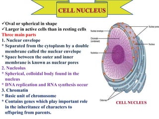Cphy 161 lec-2 (plant cell) | PPTX
