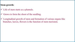 Growth and development | PPTX | Gardening | Home & Garden