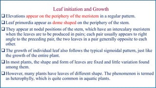 Growth and development | PPTX | Gardening | Home & Garden