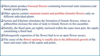 Growth and development | PPTX | Gardening | Home & Garden