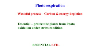 PHOTORESPIRATION | PPTX