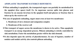 PHOTORESPIRATION | PPTX