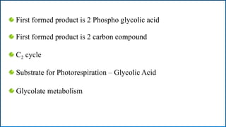 PHOTORESPIRATION | PPTX