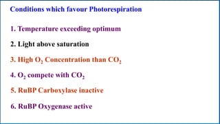 PHOTORESPIRATION | PPTX