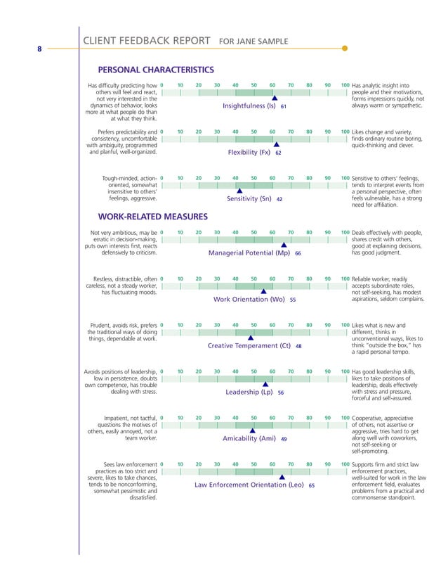 CPI 260 Client Feedback Report | PDF