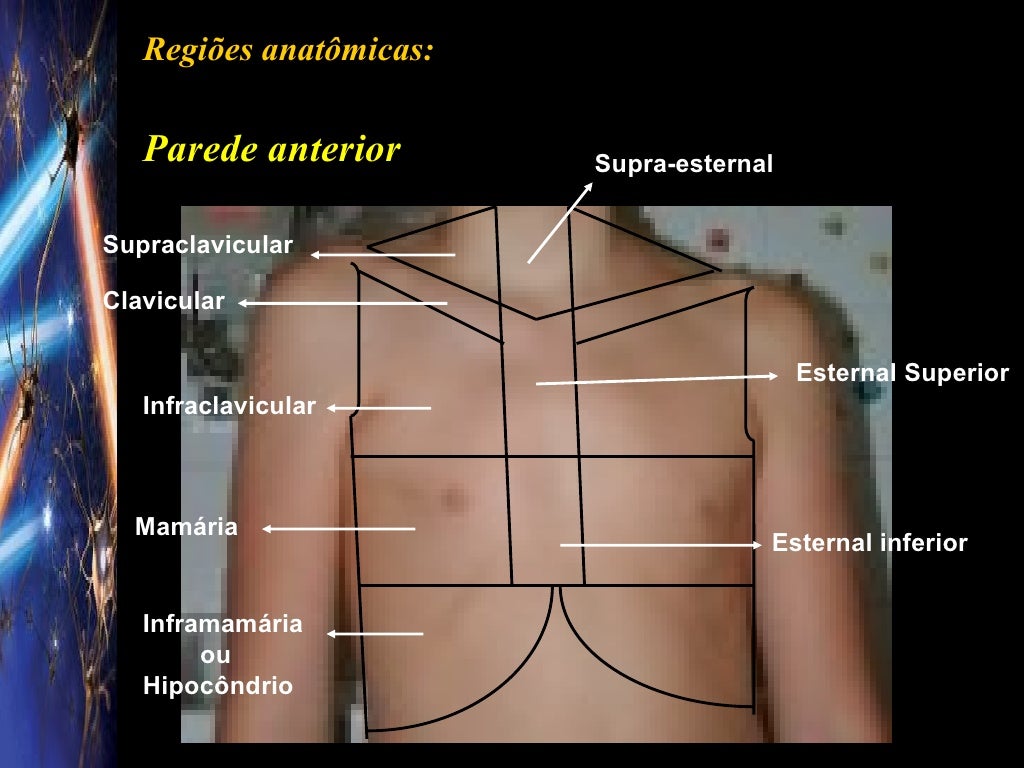 Cópia de semiologia do tórax