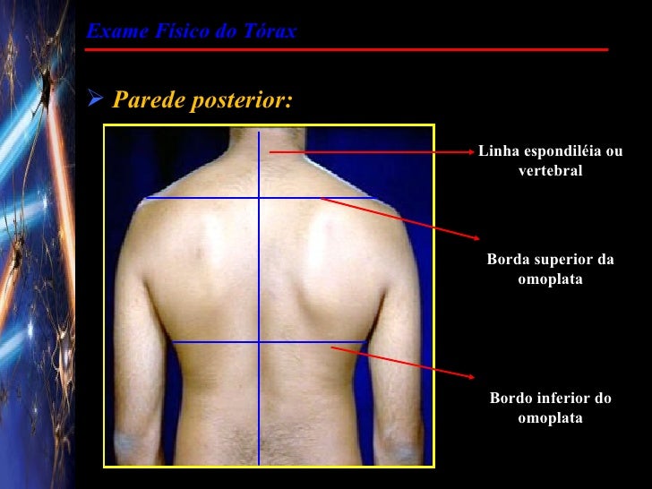 Cópia de semiologia do tórax