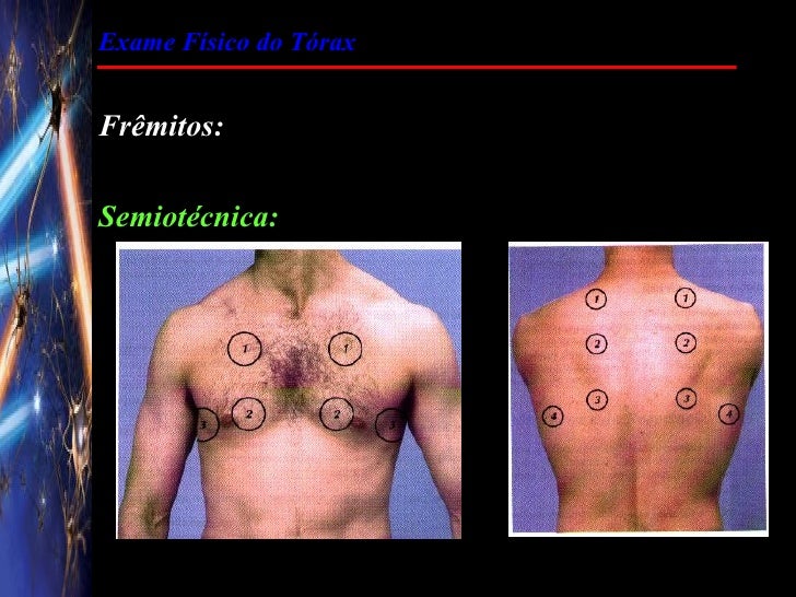 Cópia de semiologia do tórax