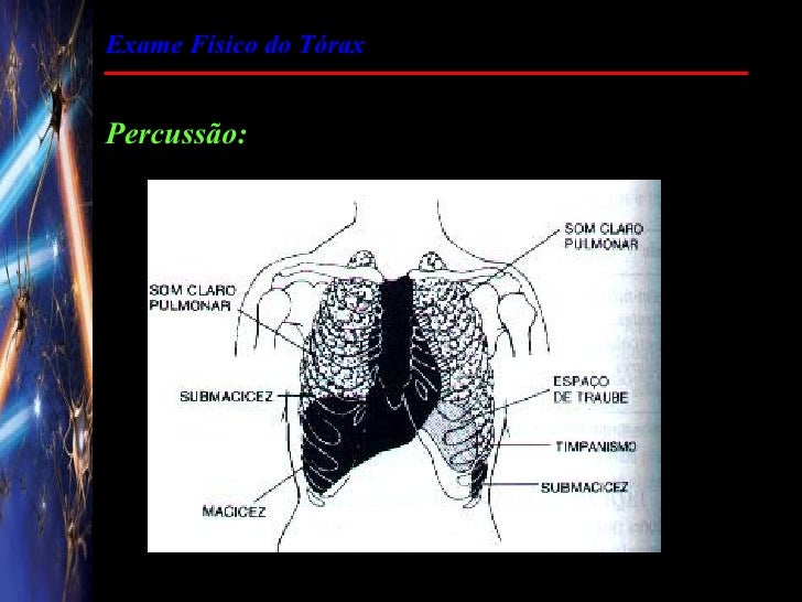 Cópia de semiologia do tórax