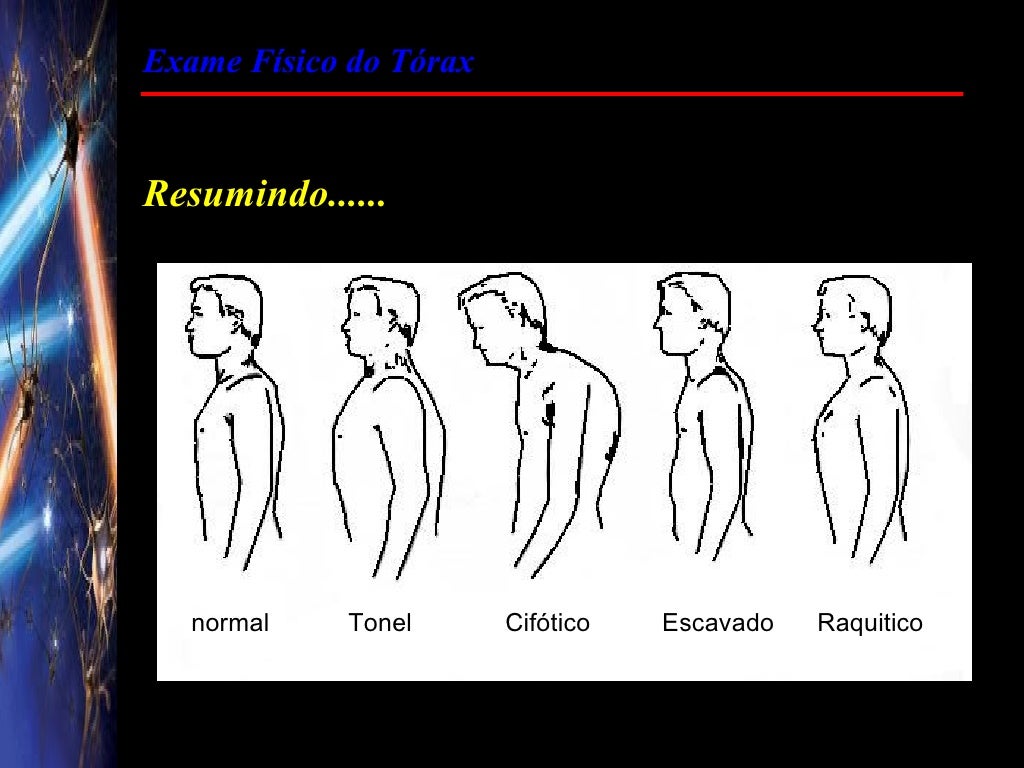 Cópia de semiologia do tórax