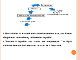 Chemical Process Industry (Production of Caustic Soda & Chlorine) | PPTX