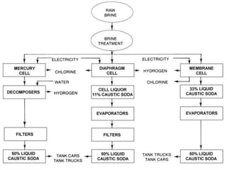 Chemical Process Industry (Production of Caustic Soda & Chlorine) | PPTX