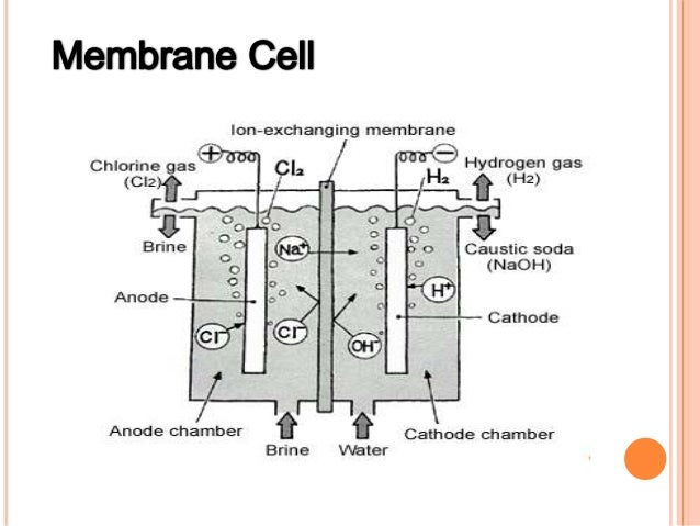 Chemical Process Industry (Production of Caustic Soda & Chlorine)