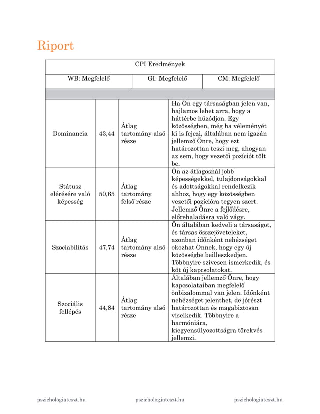 Cpi riport minta | PDF