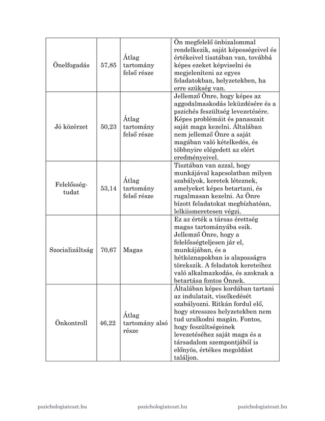 Cpi riport minta | PDF