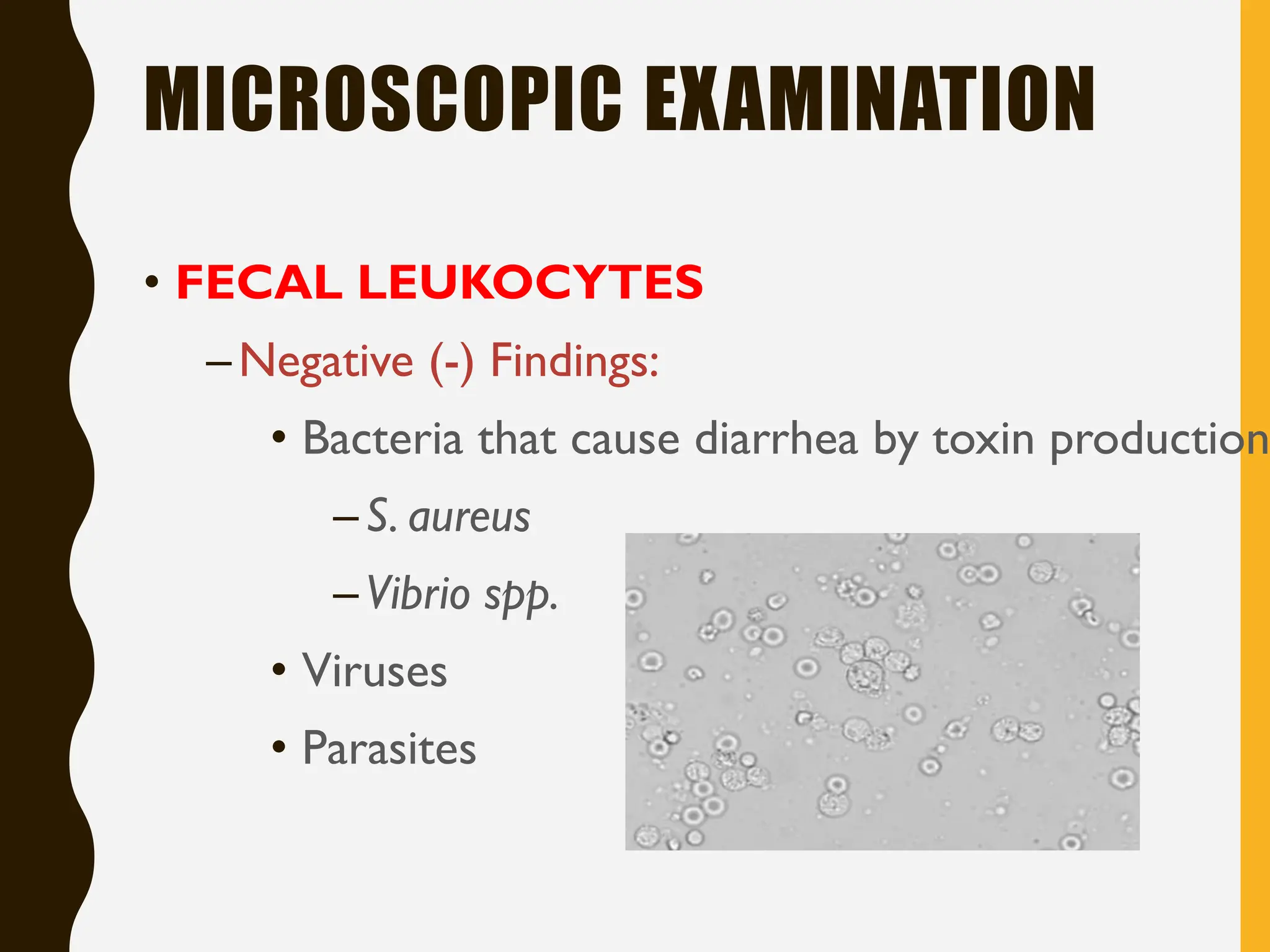 CP LECTURE Fecalysis-converted.pdf