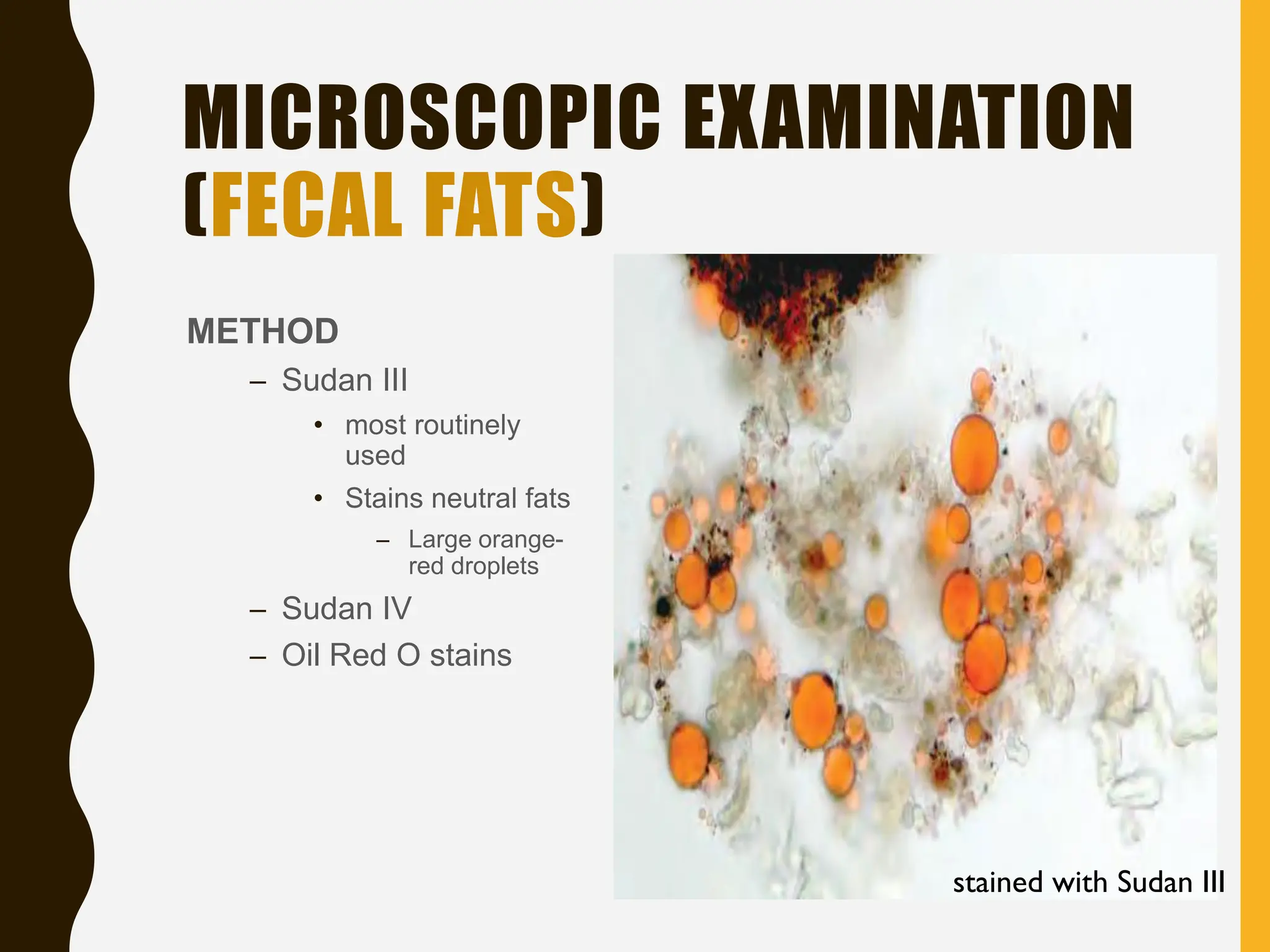 CP LECTURE Fecalysis-converted.pdf