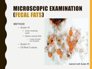 CP LECTURE Fecalysis-converted.pdf