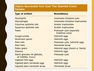CP LECTURE Fecalysis-converted.pdf