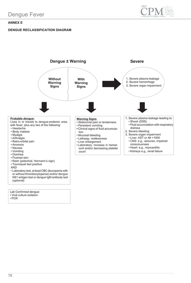 Cpm15th dengue fever_doh | PDF | Infectious Diseases | Diseases and Conditions