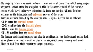 Neuroanatomy of Peripheral nervous system.pptx