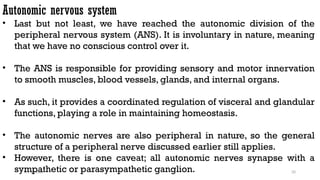 Neuroanatomy of Peripheral nervous system.pptx