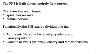 Neuroanatomy of Peripheral nervous system.pptx