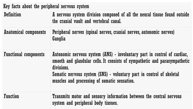 Neuroanatomy of Peripheral nervous system.pptx