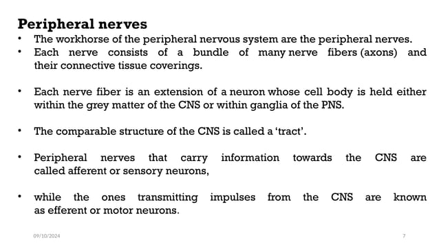 Neuroanatomy of Peripheral nervous system.pptx